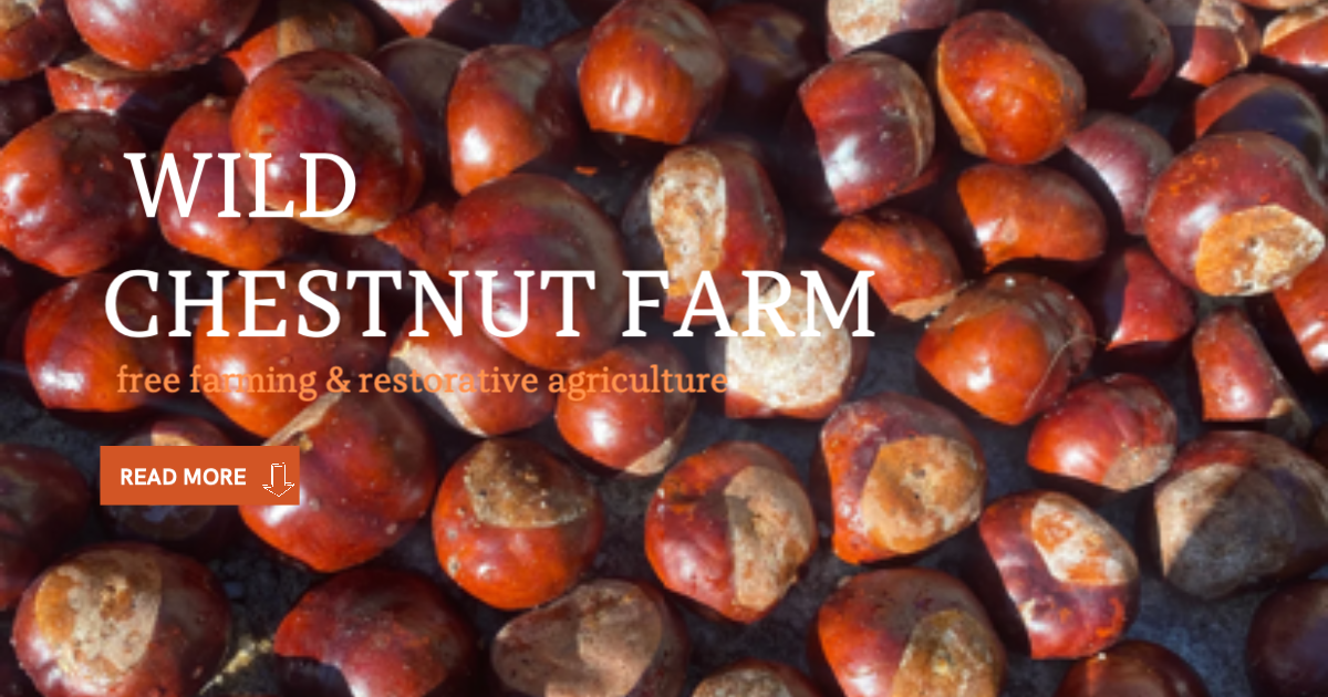 Kopie van Wild Chestnut Farm